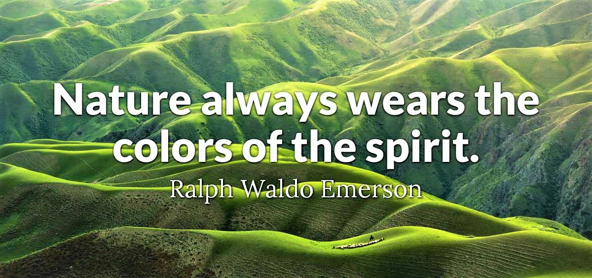 Revision In Pictures 7 ~ Nature! – I am My Path!